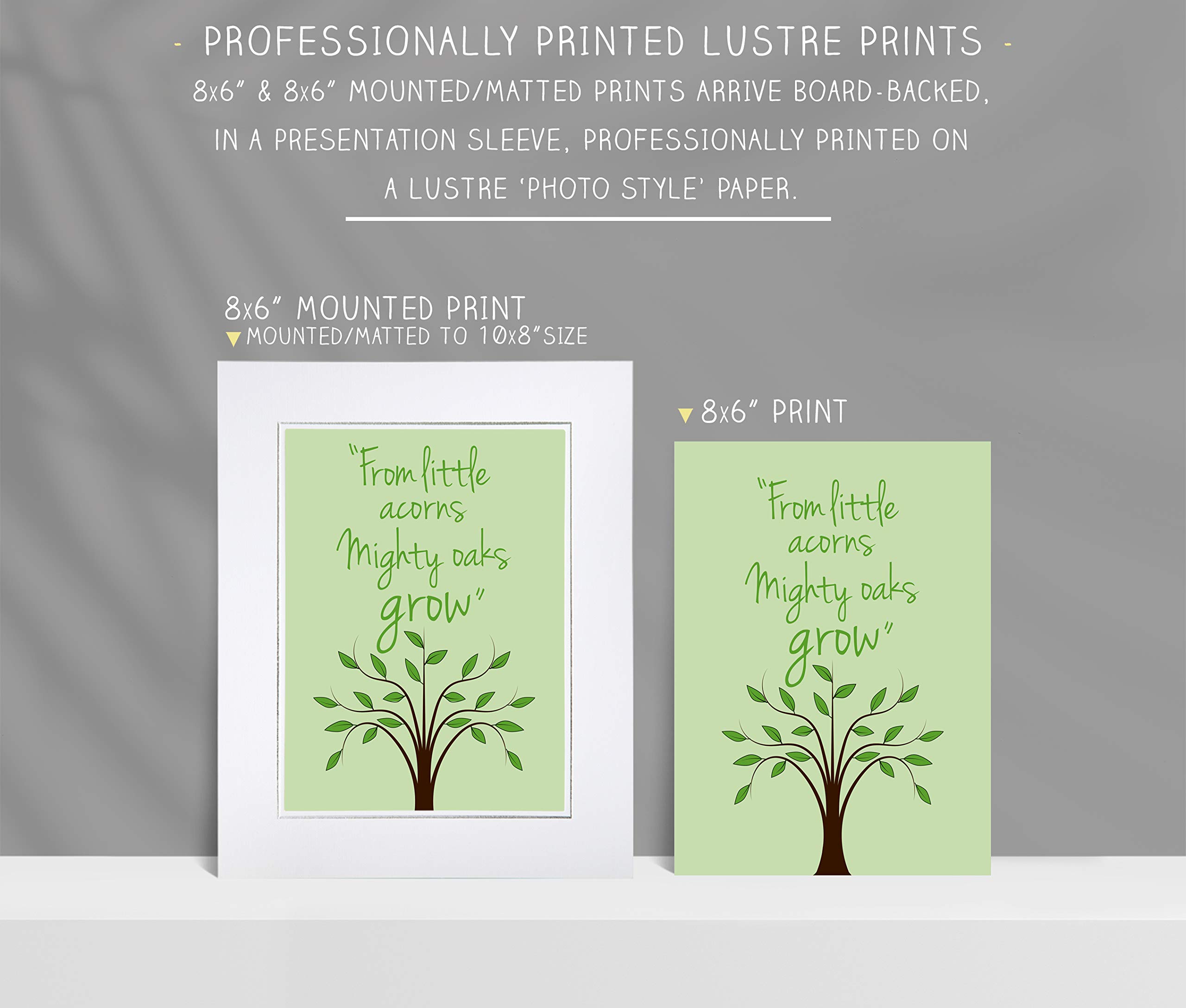 Mighty Oaks Quotes Mighty Oaks From Little Acorns Grow Inspirational