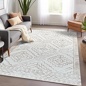 Amazon.com: jinchan Moroccan 4x6 Area Rugs for Bedroom - Machine ...