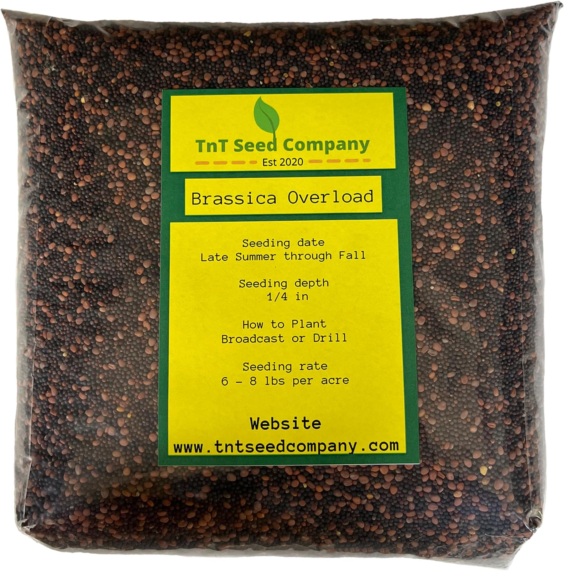 Amazon.com : TnT Seed Company Brassica Overload, Food Plot Seed, 6 lb ...