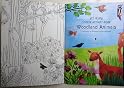 My RSPB Sticker Activity Book: Woodland Animals : Nash, Eryl, Coleman ...