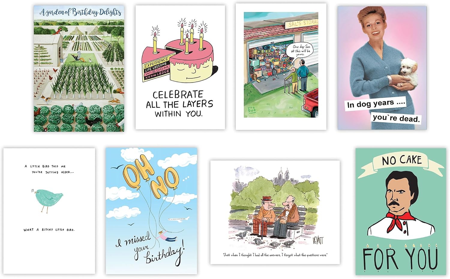 Amazon.com: Nelson Line Assorted Birthday Cards - Box of 8 cards ...