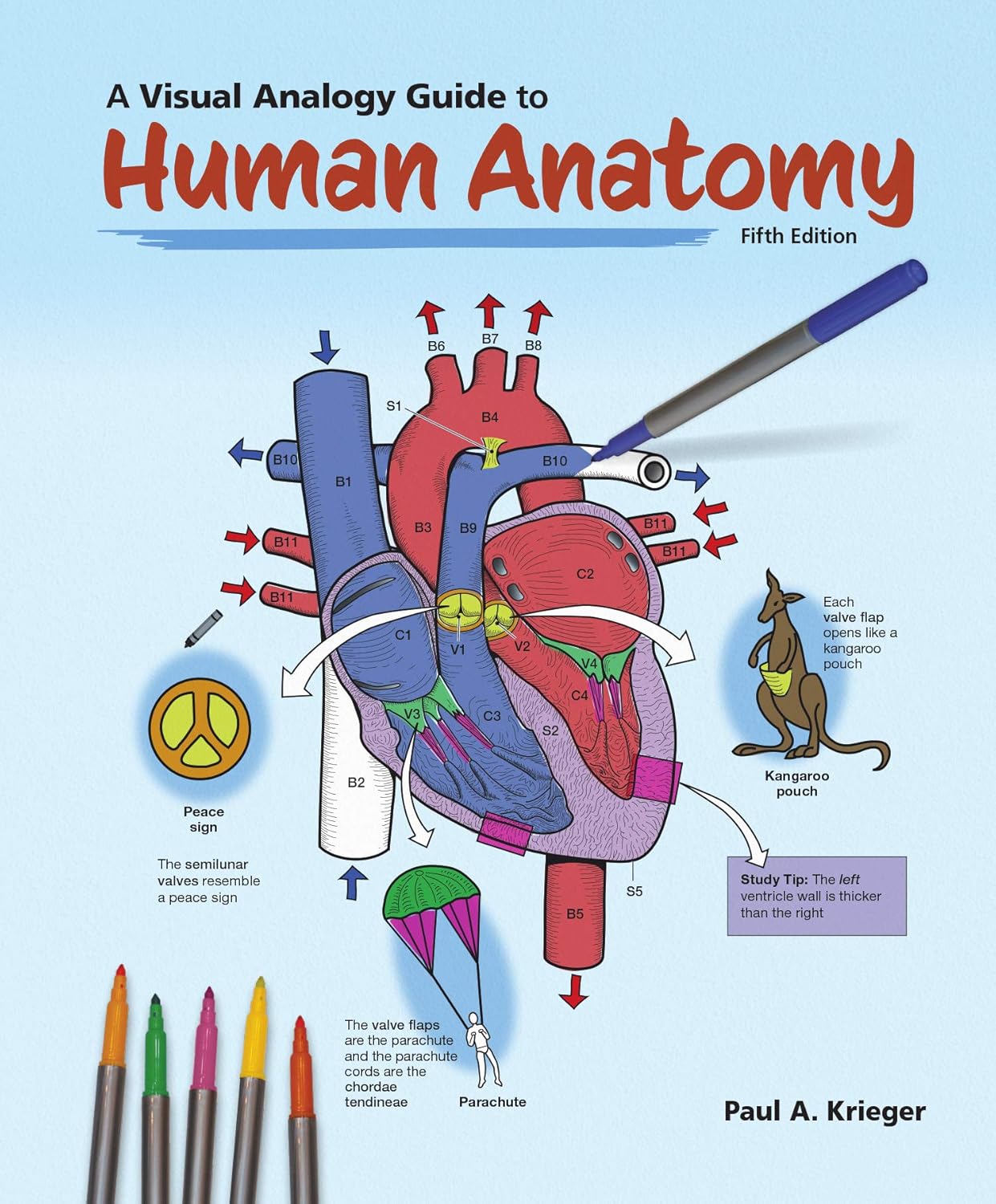 A Visual Analogy Guide to Human Anatomy: 9781640431942: Medicine ...