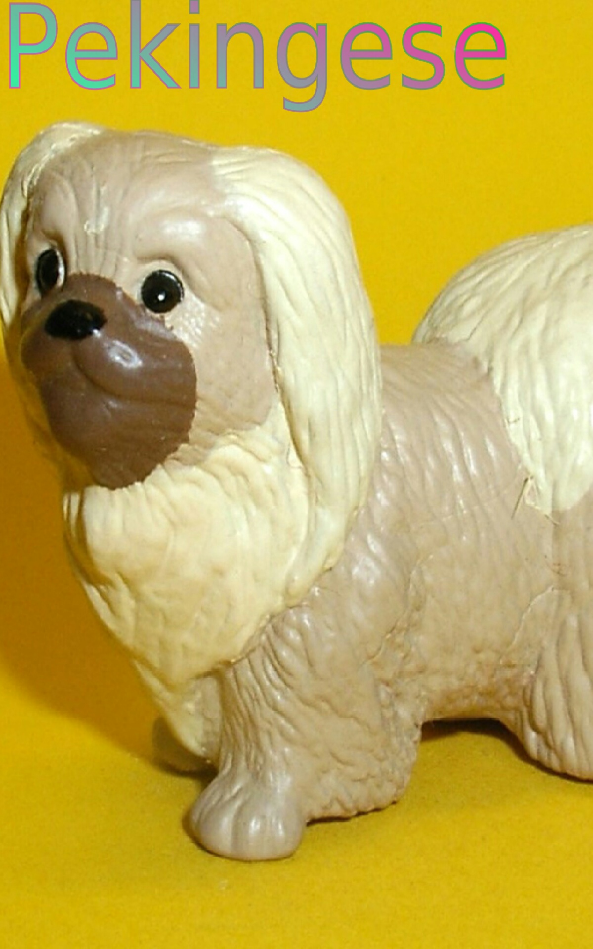 Model Puppy Dog Breeds 2 - App on Amazon Appstore