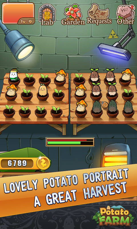 Potato Farm Garden