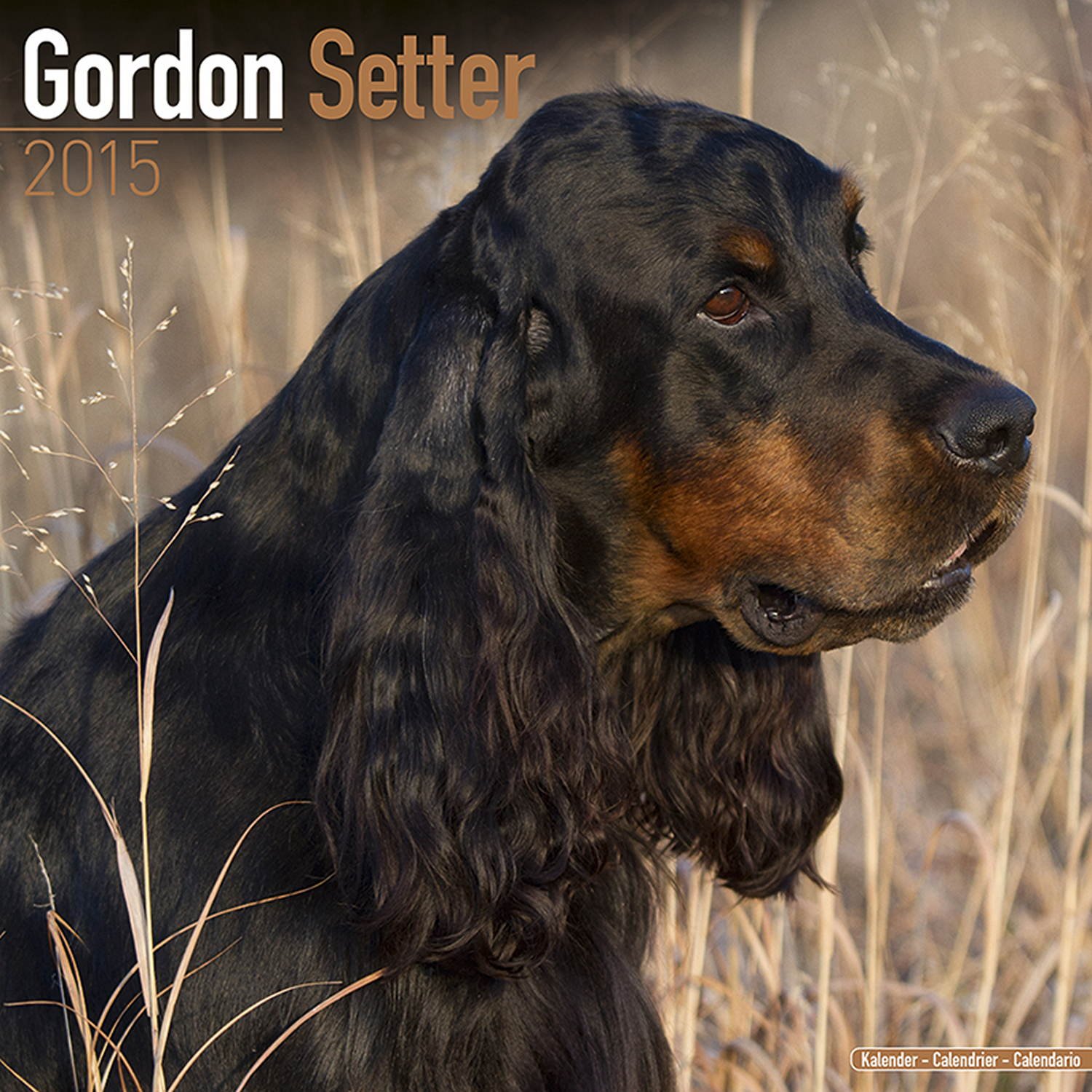 Gordon Setter Calendar - Just Gordon Setter Calendar - 2015 Wall ...