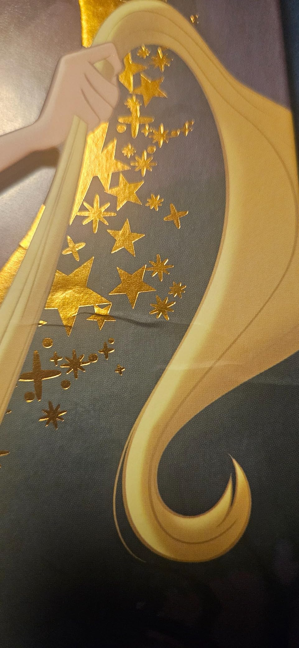 Disney: Tangled (Disney Die-Cut Classics): Francis, Suzanne ...