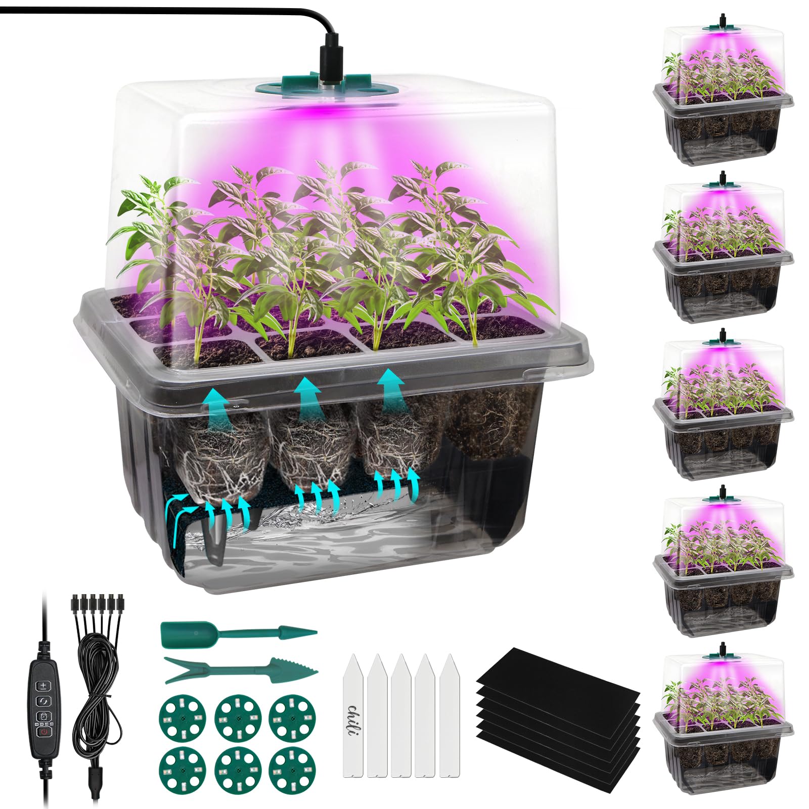 Amazon.com : MQUPIN Self Watering Seed Starter Tray with Grow Light,6 ...
