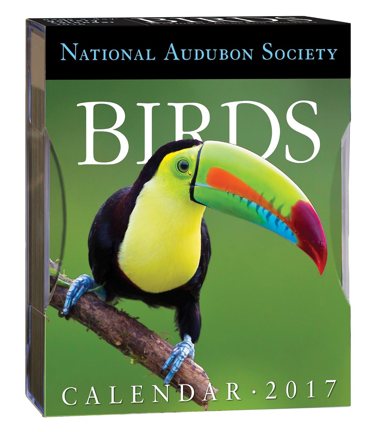 Amazon | Birds National Audubon Society 2017 Calendar | National ...