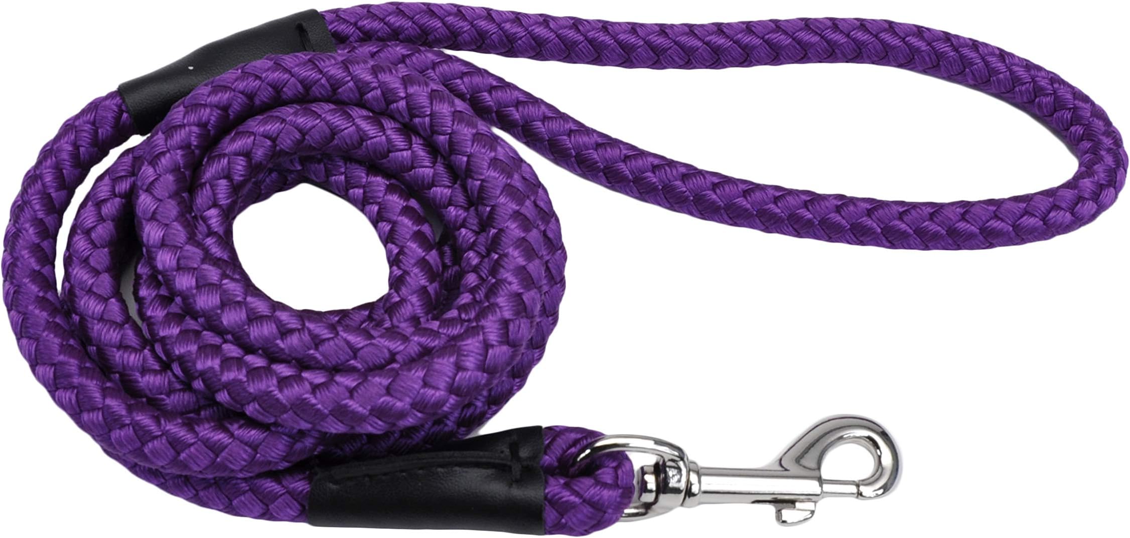Amazon.com : Water & Woods Braided Rope Snap Dog Leash by Coastal Pet ...