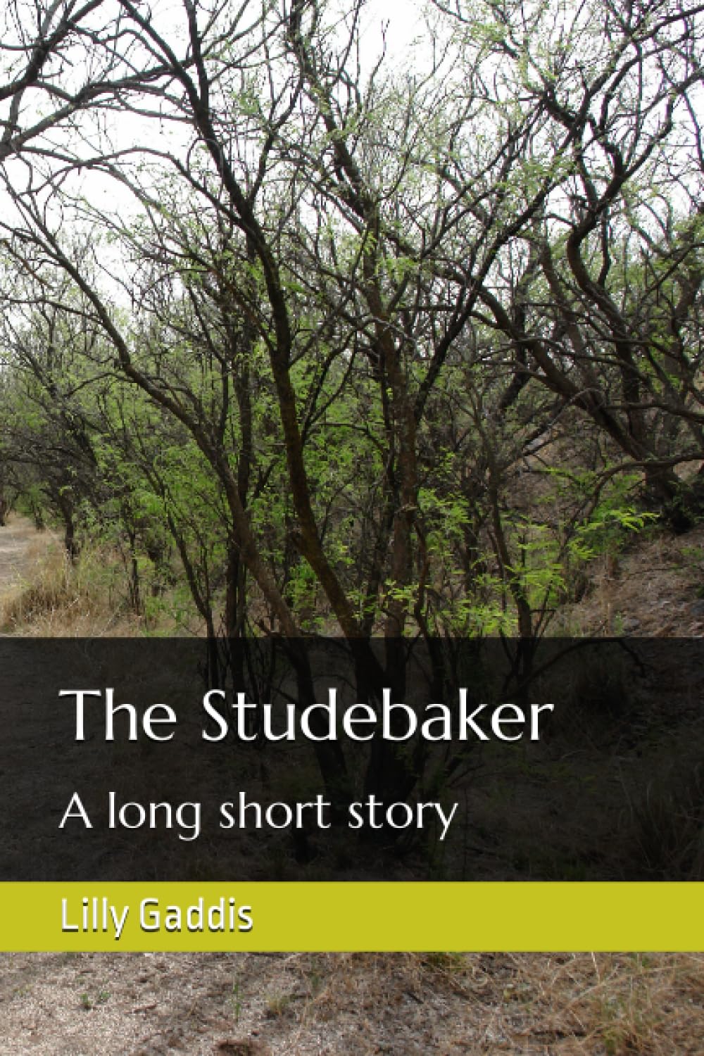 Amazon.com: The Studebaker: A long short story: 9798853047396: Gaddis ...