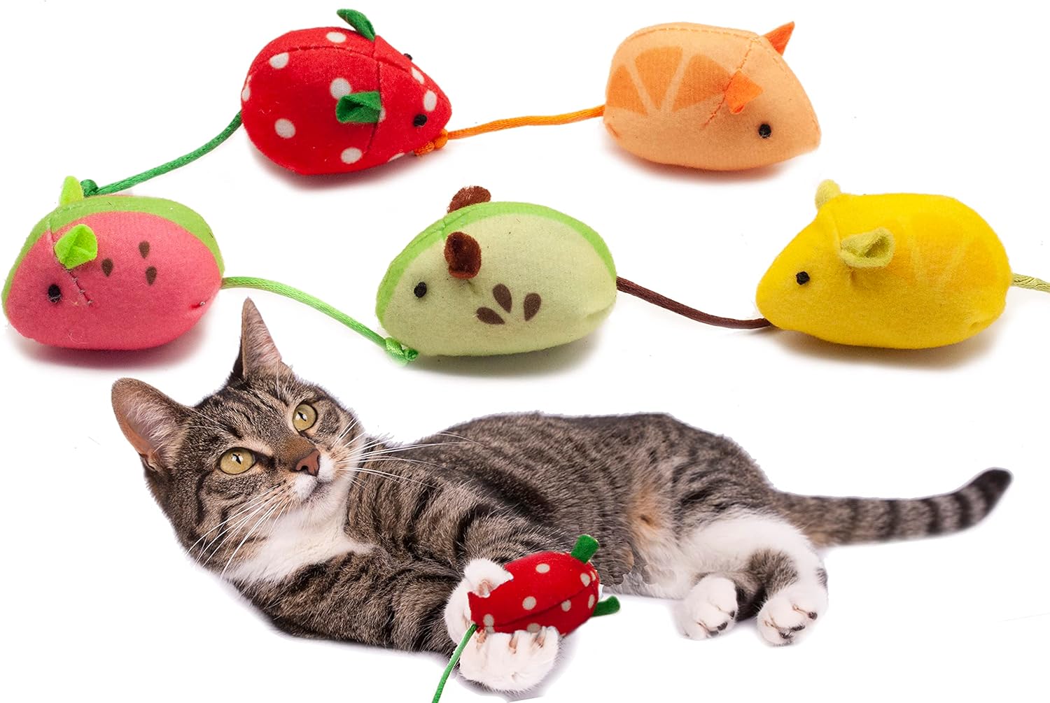 Amazon.com : Fashion's Talk Cat Toy 10 Count Fruit Mice Soft Plush ...