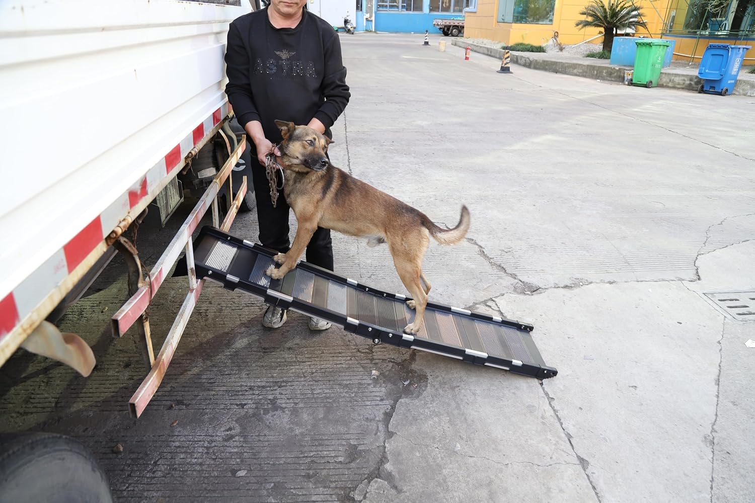 Amazon.com: RIZZARI Portable Dog Car Ramp, Foldable Dog Stairs for ...