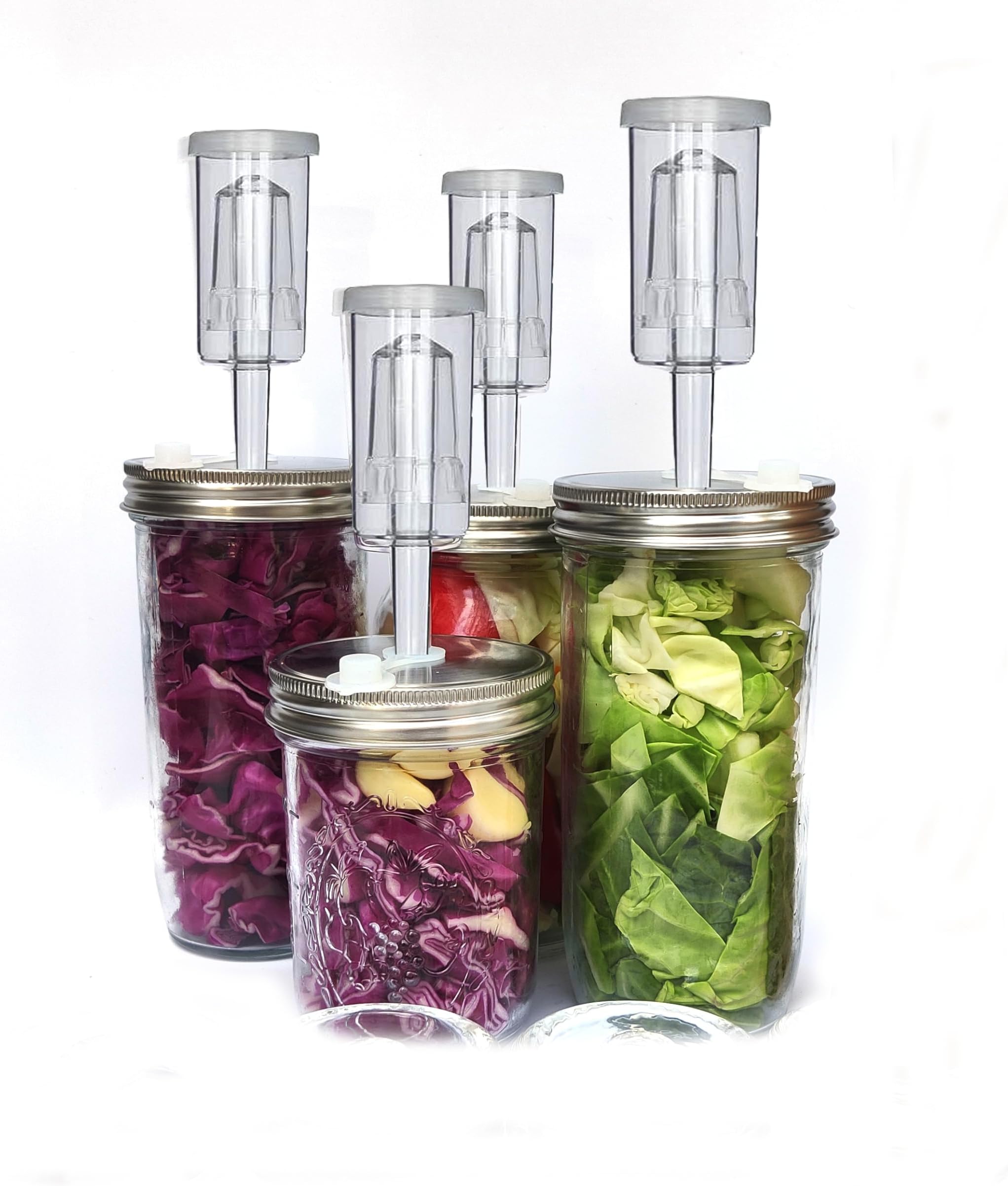 Amazon.com: Jillmo Fermentation Kit, Stainless Steel Fermenting Kit for ...