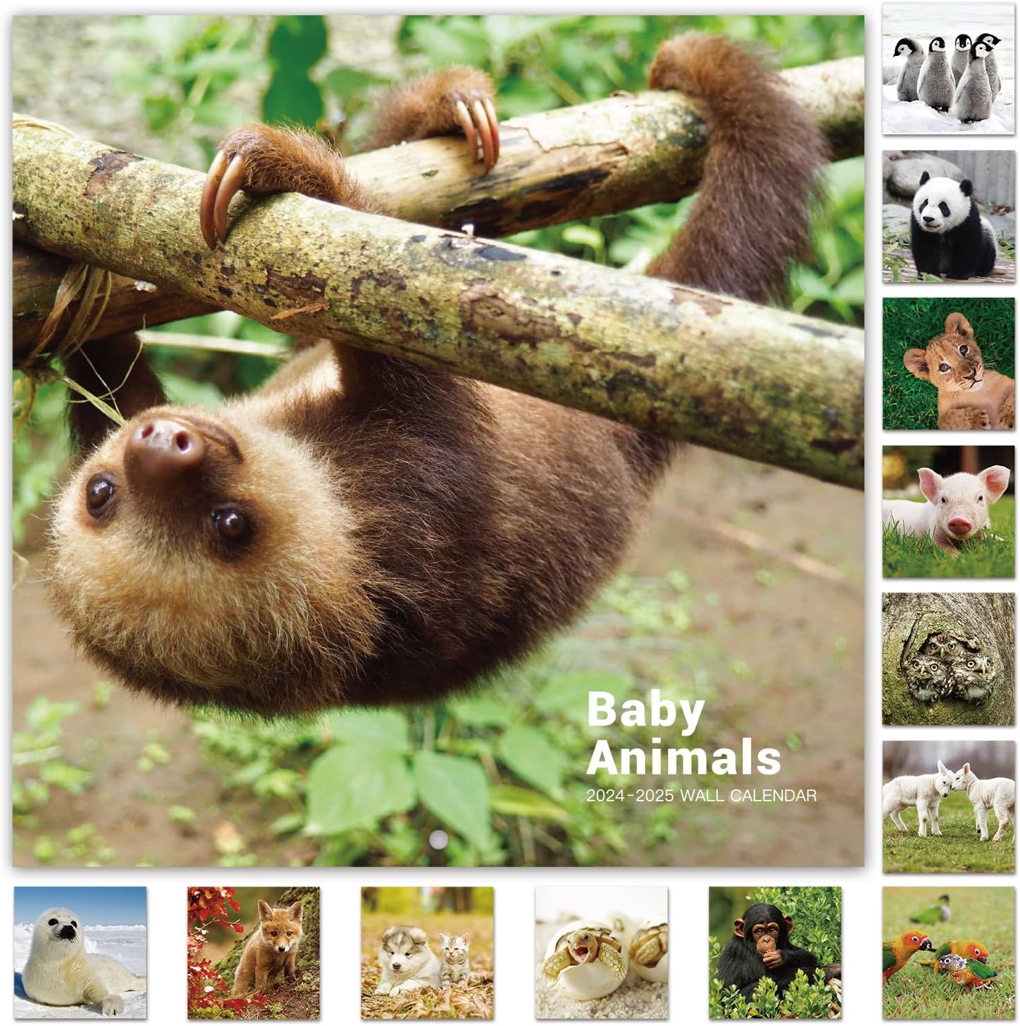 Amazon.com: My3Lops Bunny Calendar 2024-2025 18 Month Wall Calendar ...