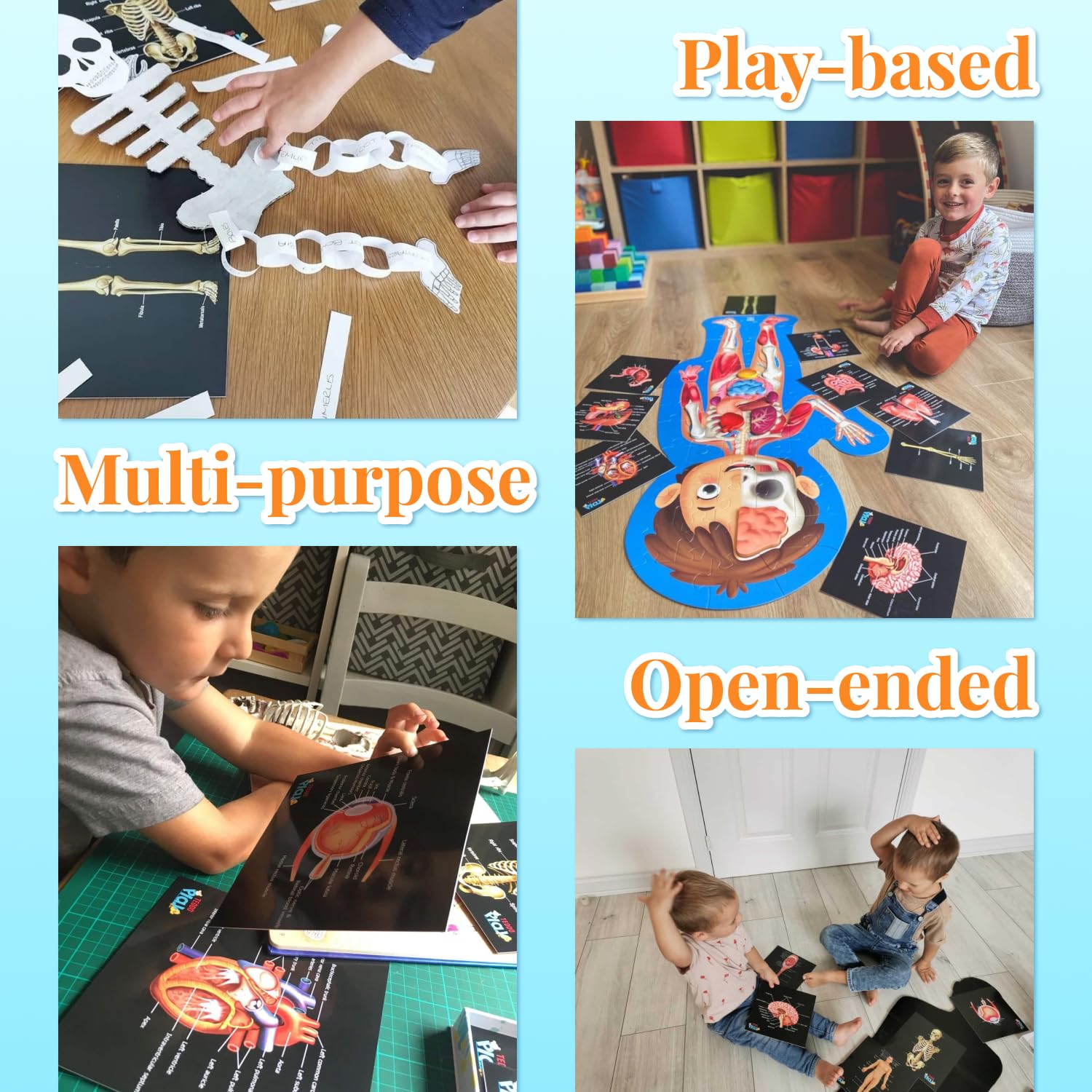 Snapklik.com : Complete Human Anatomy Biology Learning Set For Kids ...