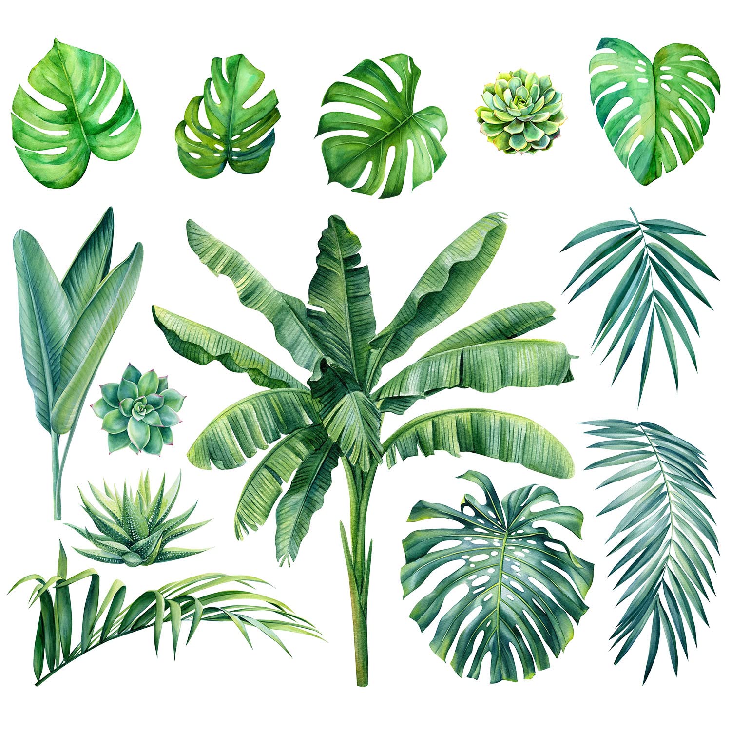 Palm Tree Leaves Clipart