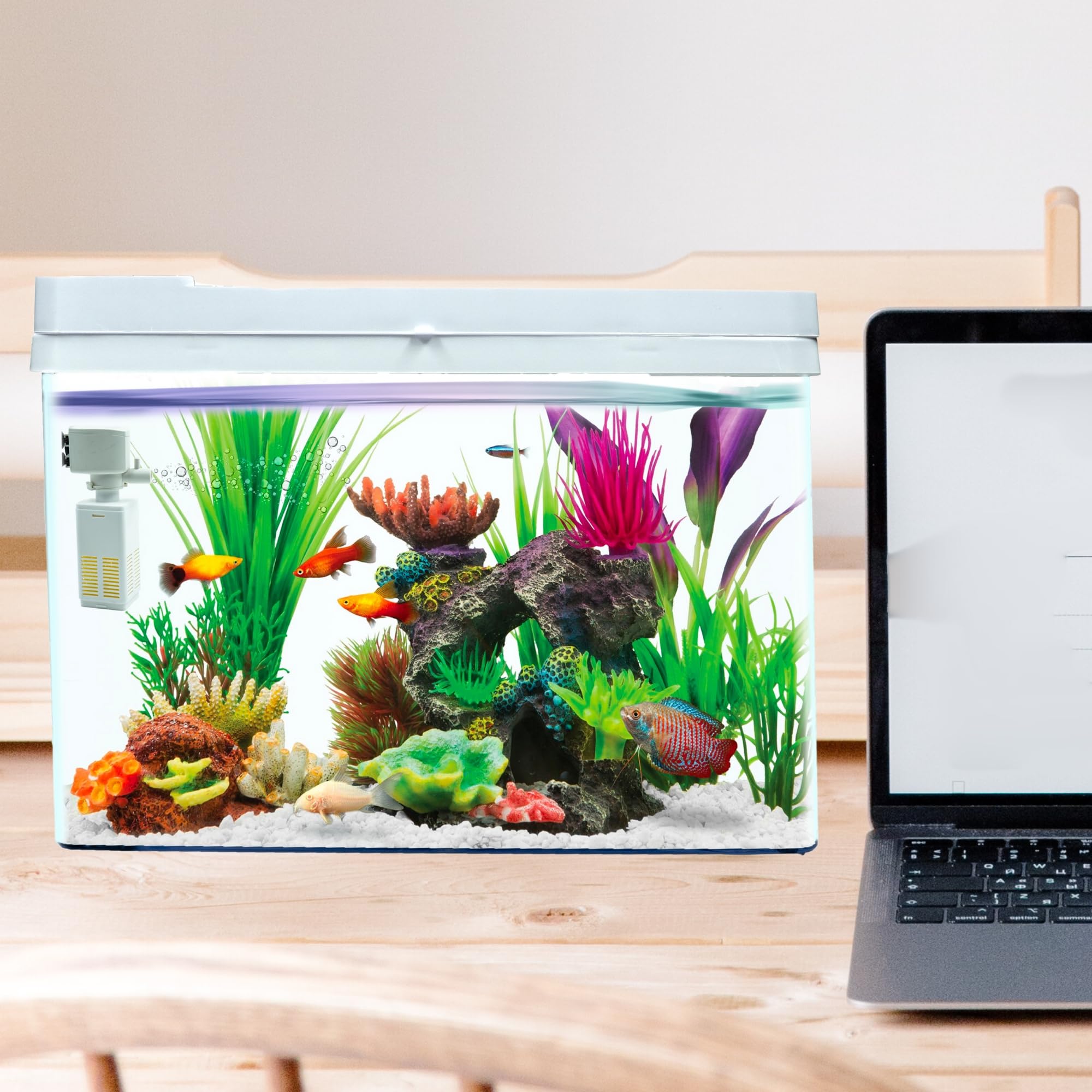 Buraq 4K Transparency Moulded Fashion Aquarium Mini Fish Tank with ...