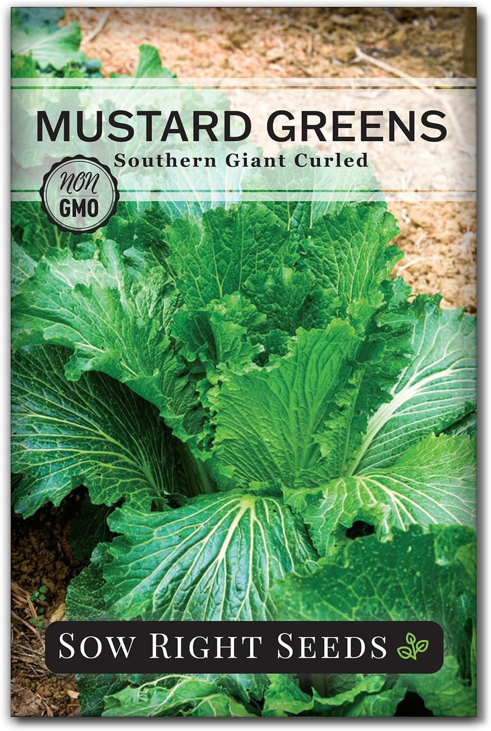 Amazon.com : Sow Right Seeds - Southern Giant Curled Mustard Greens ...