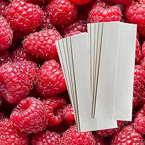Amazon.com : Heritage Raspberry Plants - Raspberry Supports Included ...