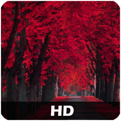 Red Wallpaper, Reddish Wallpaper, Red Red Wallpaper - App on Amazon ...