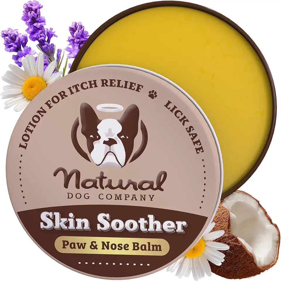 Gold Bond For Dogs: Safe And Effective? | PetShun