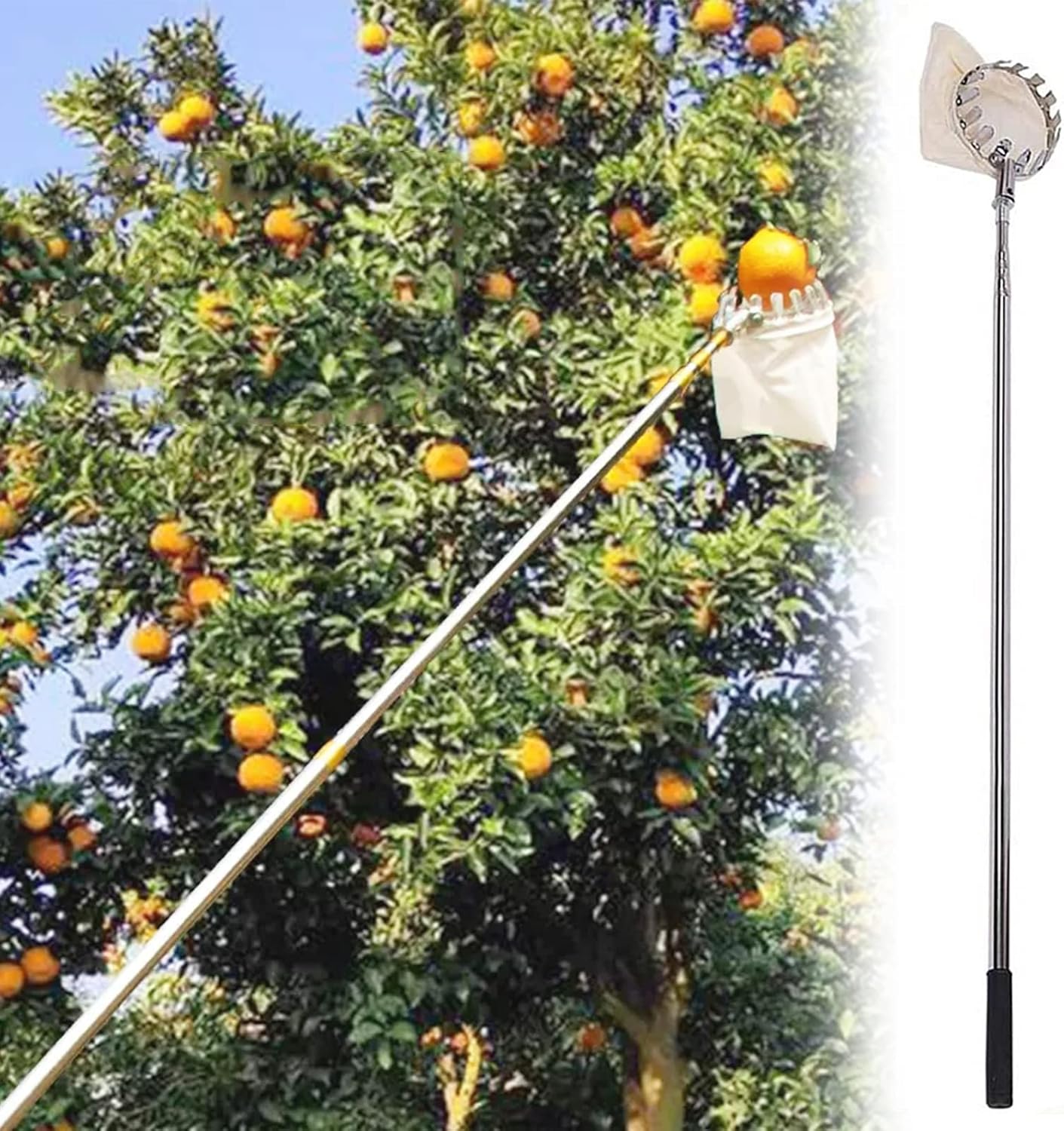 Amazon.com: Yesbon Fruit Picker Tool, Fruit Picking Harvester with ...