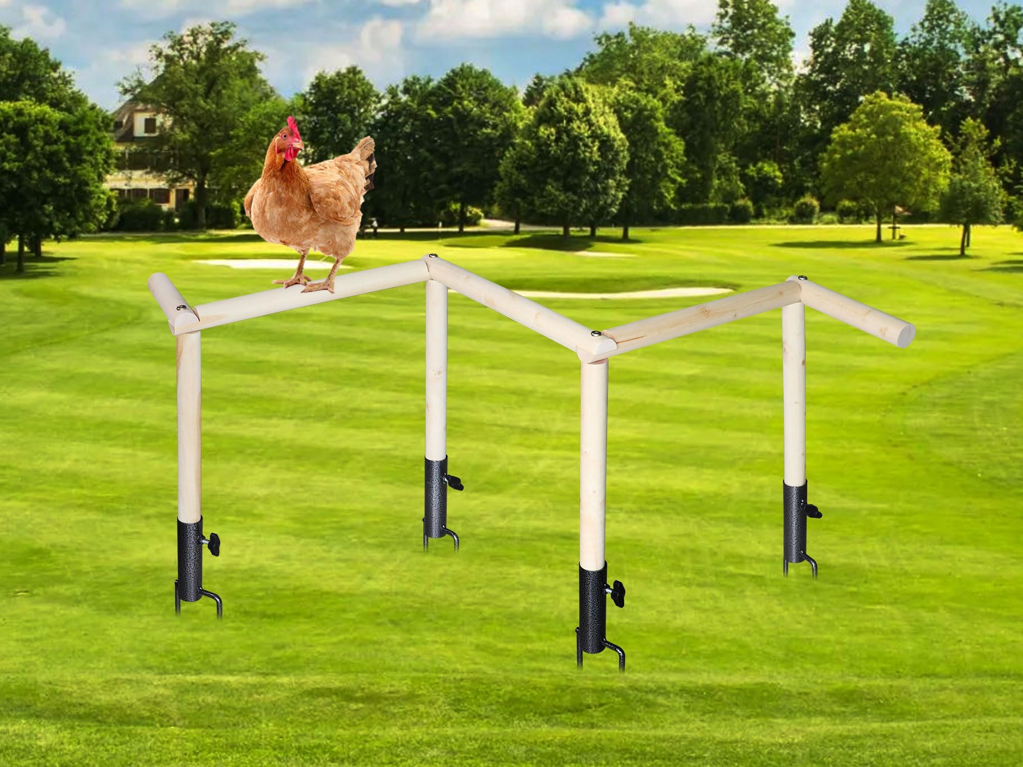 Amazon.com : Kalekey Chicken Perch Toy for Coop, Chicken Perch Stand ...