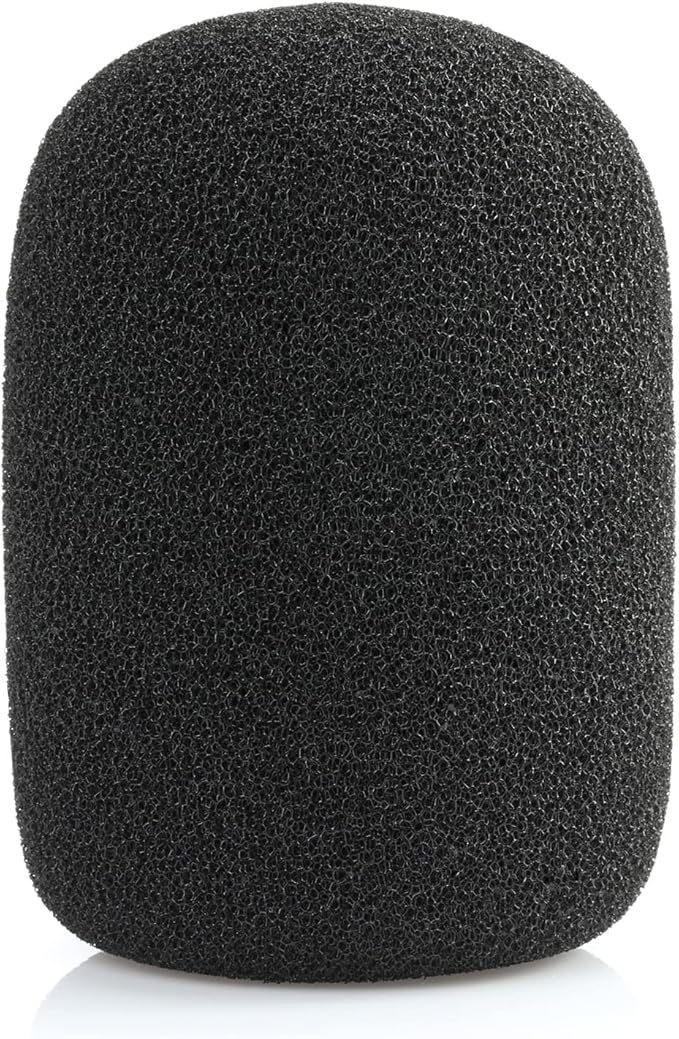 Amazon.com: LEFXMOPHY Pop Filter for FIFINE AmpliGame A6V A6B A6P A6R ...