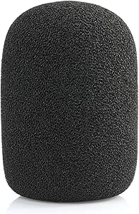 Amazon.com: LEFXMOPHY Pop Filter for FIFINE A6T A6 A6T A8 Microphone ...