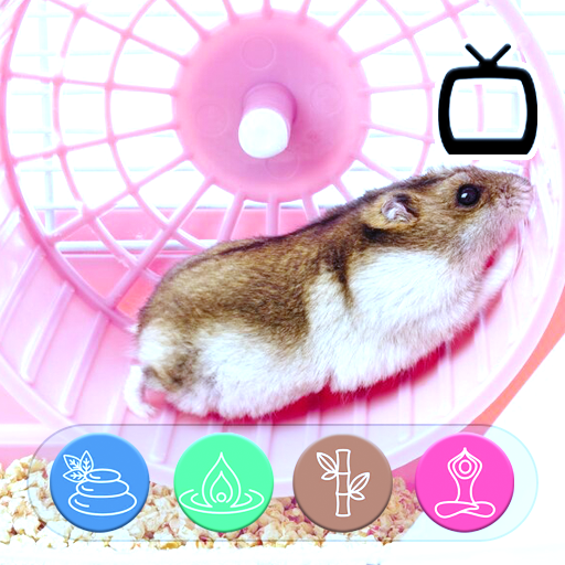 Adorable Hamster Haven - Cute Screensaver for Animal Lovers - App on ...