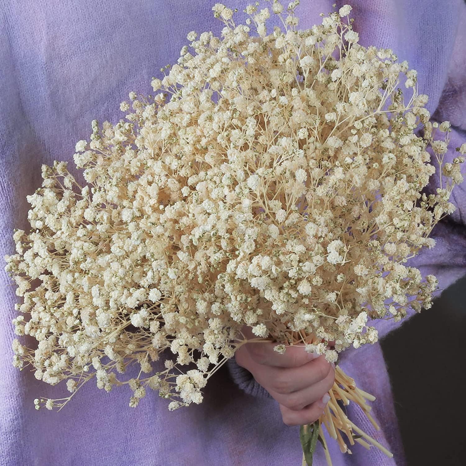 Amazon.com: 2500+ Dried Baby's Breath Flowers Bouquet - 17.2'' Natural ...