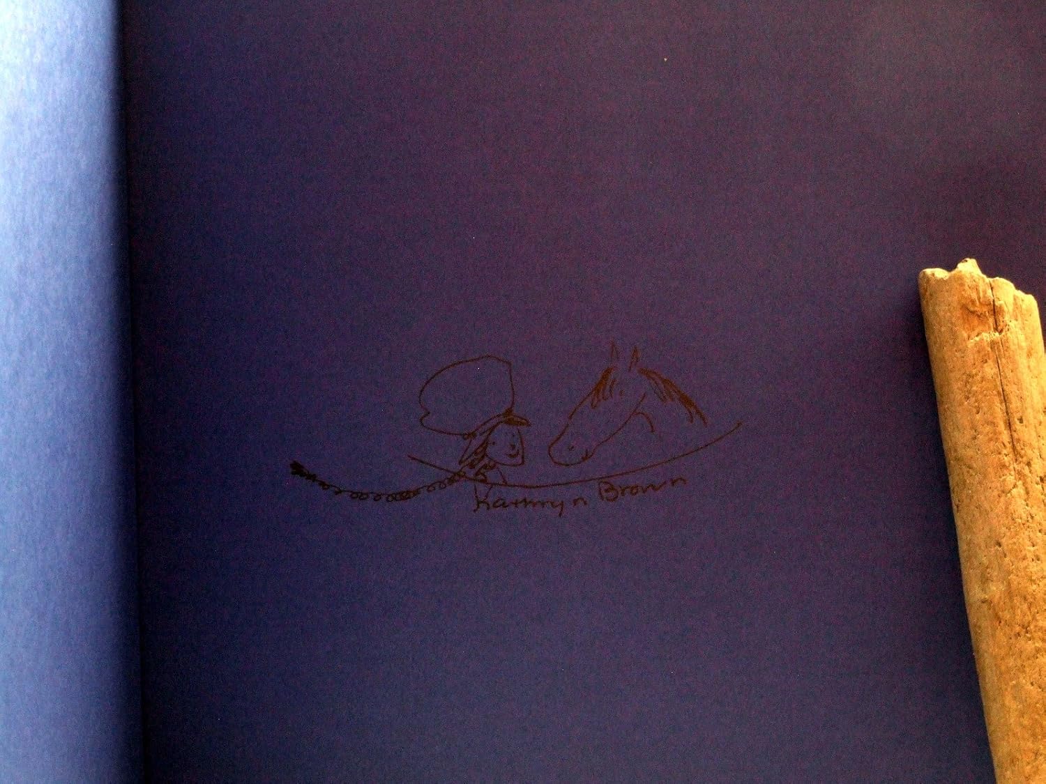 Old Thunder and Miss Raney: Sharon Darrow, Kathyrn Brown: Amazon.com: Books