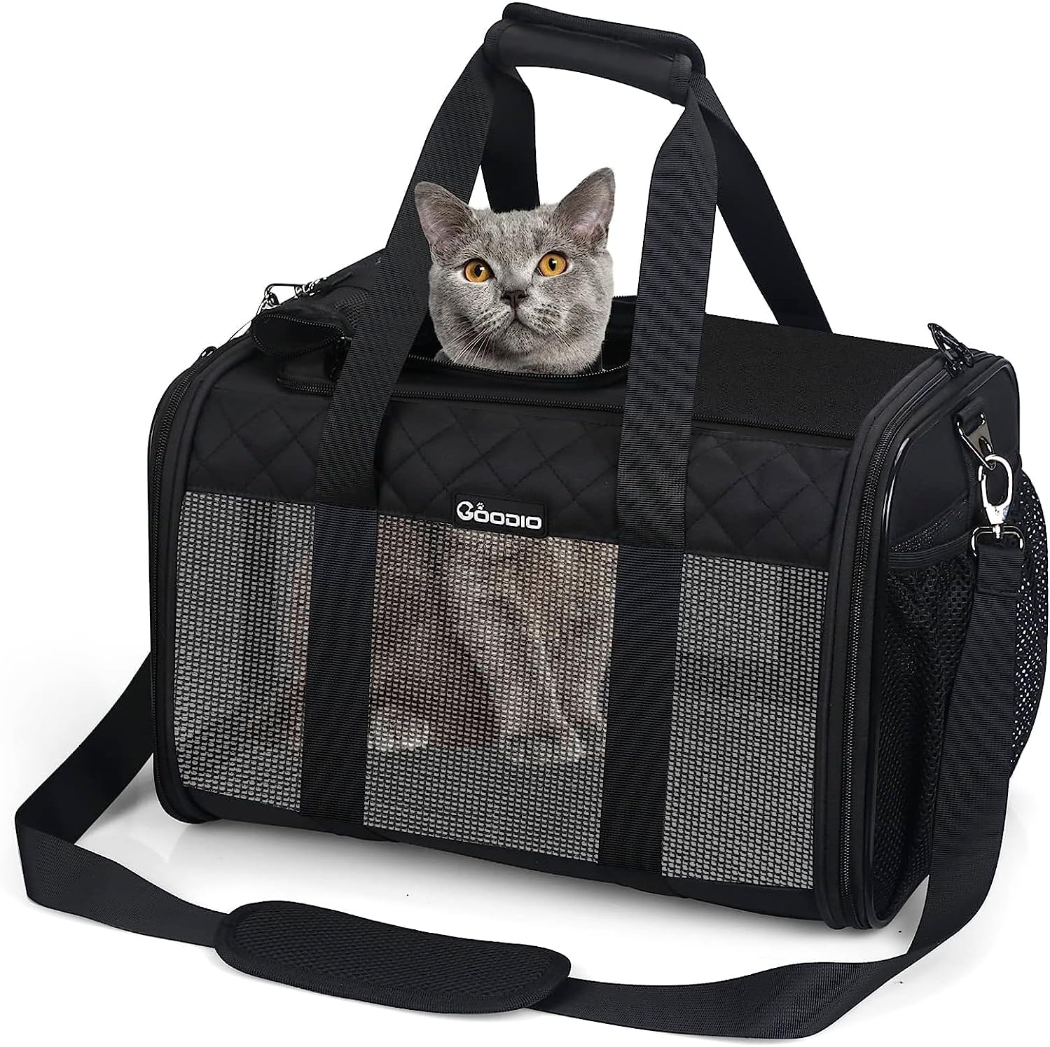 Amazon.com : Pet Carrier TSA Airline Approved for Cat,Foldable Soft ...