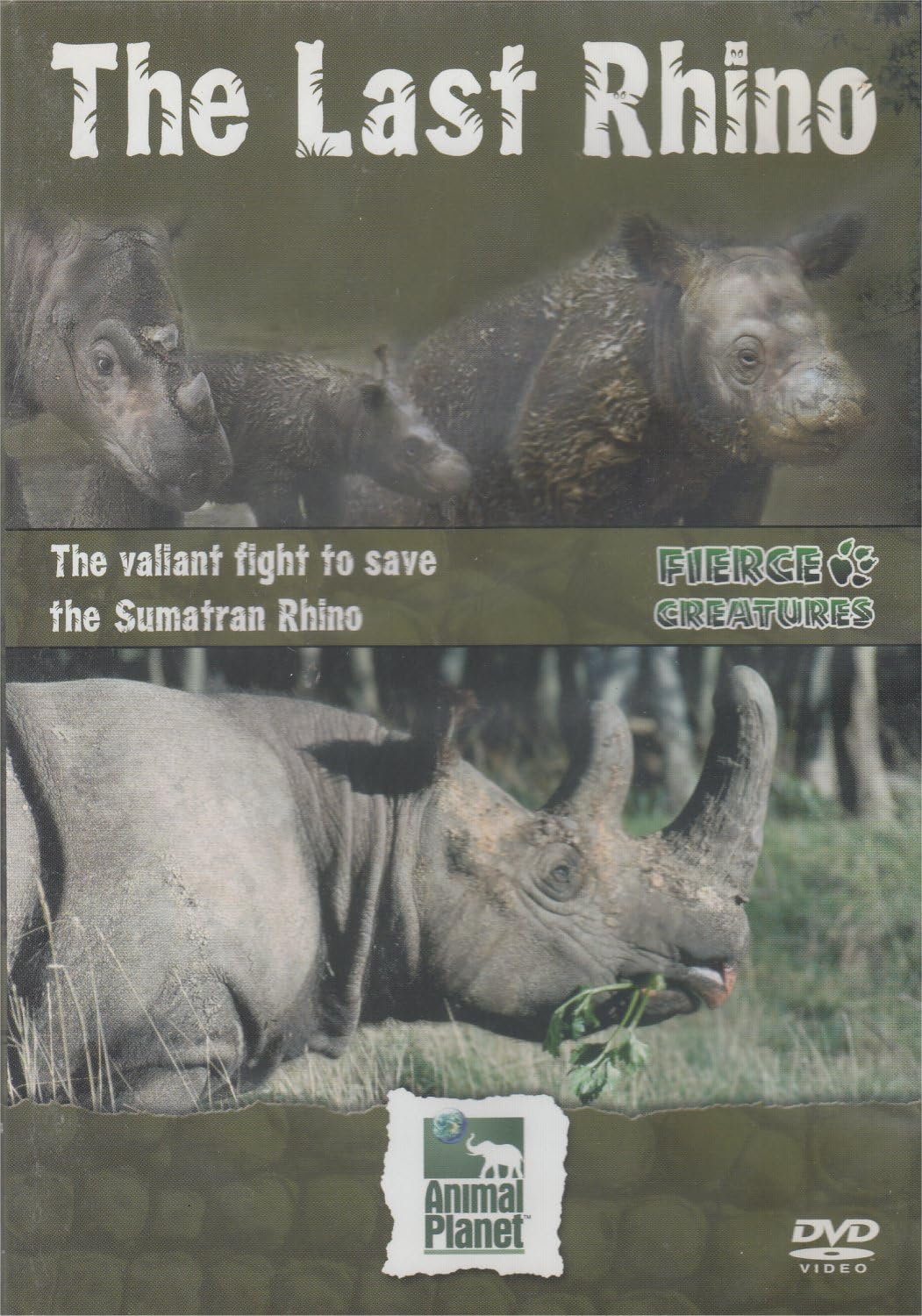 The Last Rhino [DVD]: Amazon.ca: Movies & TV Shows