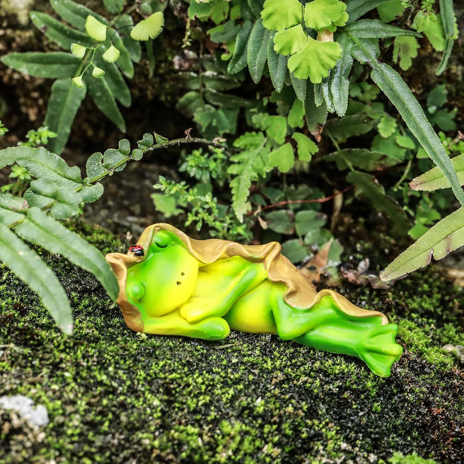 Amazon.com : Jy.Cozy Miniature Garden Frog Figurines - Little Frog ...