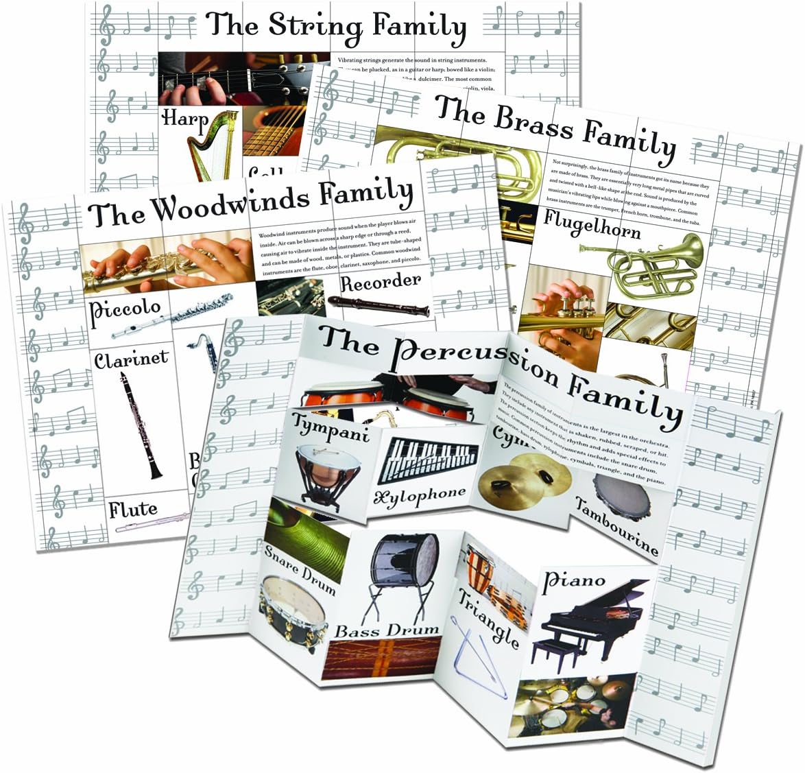 Amazon.com: Eureka Musical Instrument Categories - Dimensional Bulletin ...