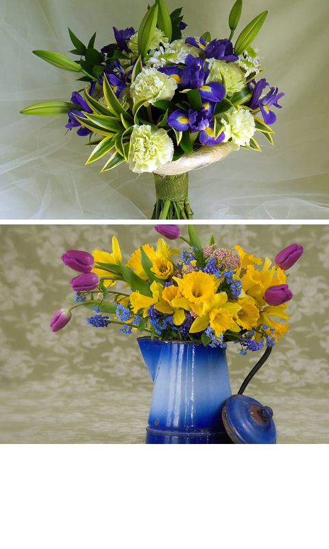 Flower Arrangement Ideas - App on Amazon Appstore