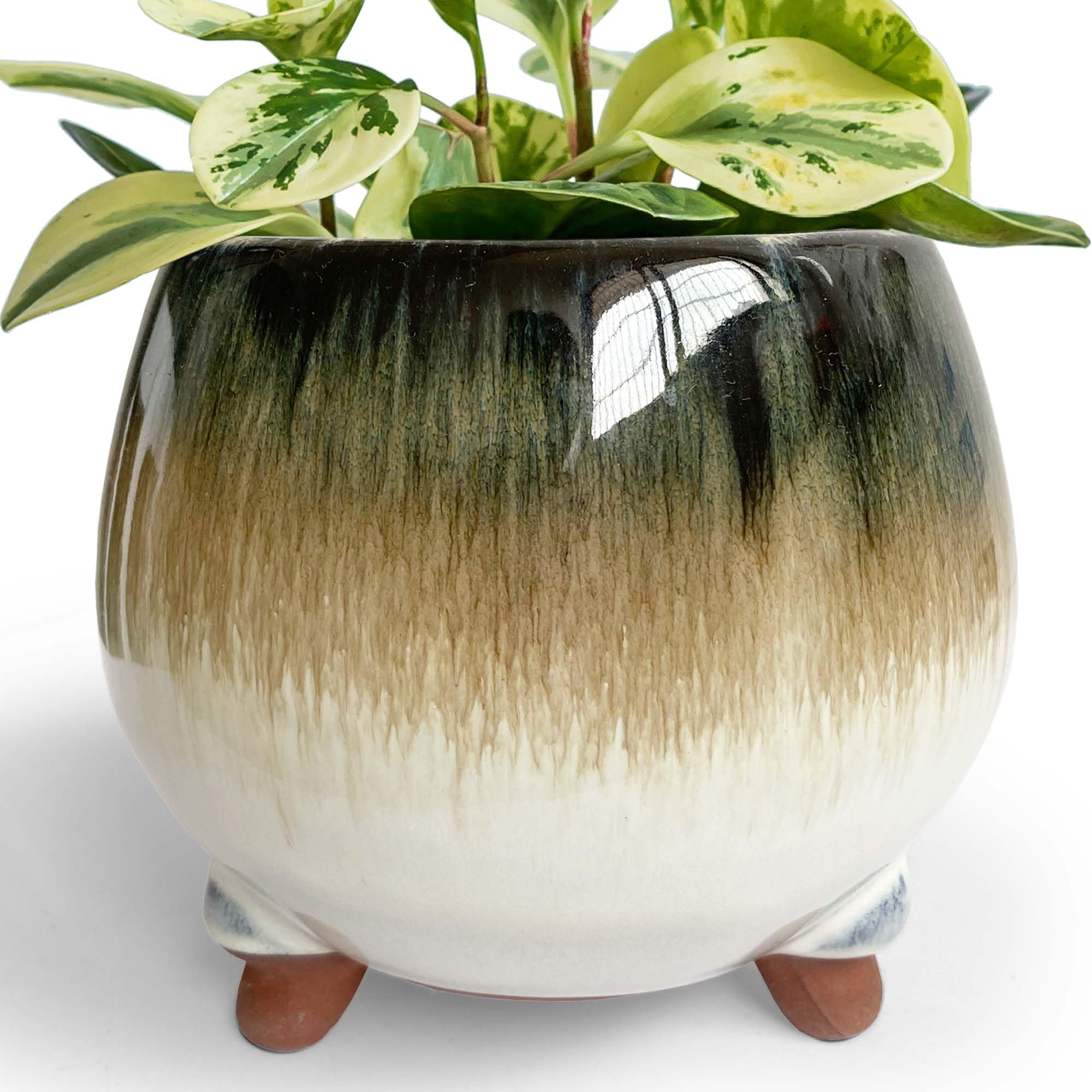 Amazon.com : Unique 5 Inch Ceramic Planter Pot for Indoor Outdoor ...