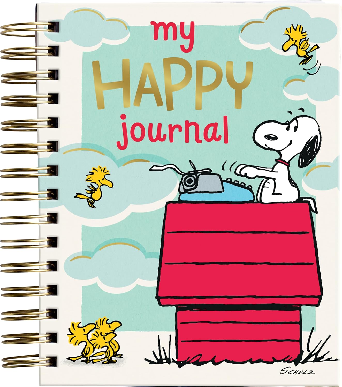 Peanuts My Happy Journal: DaySpring: 9798886028867: Amazon.com: Books