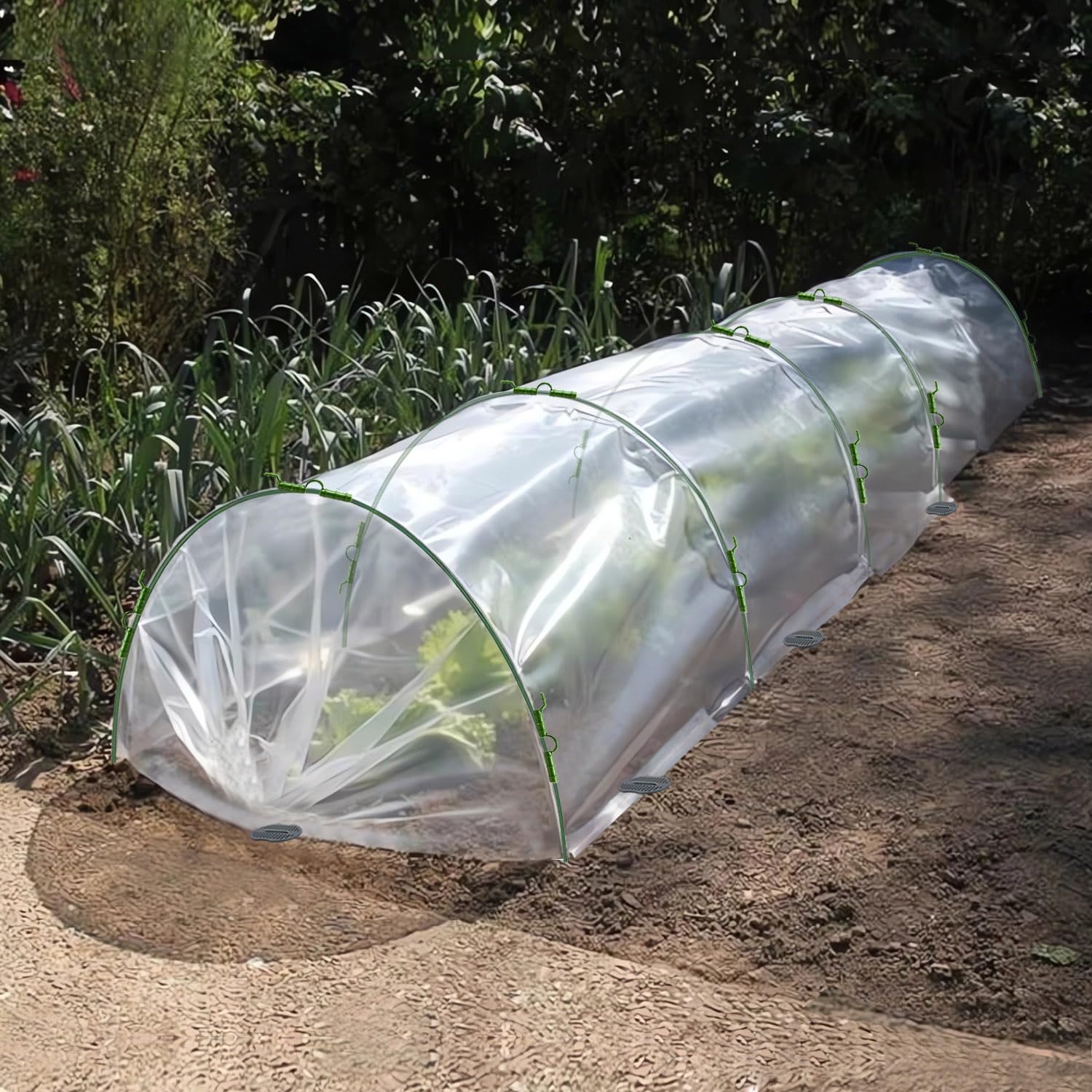 Amazon.com : Mini Greenhouse Tunnel Greenhouses for Outdoors, Green ...