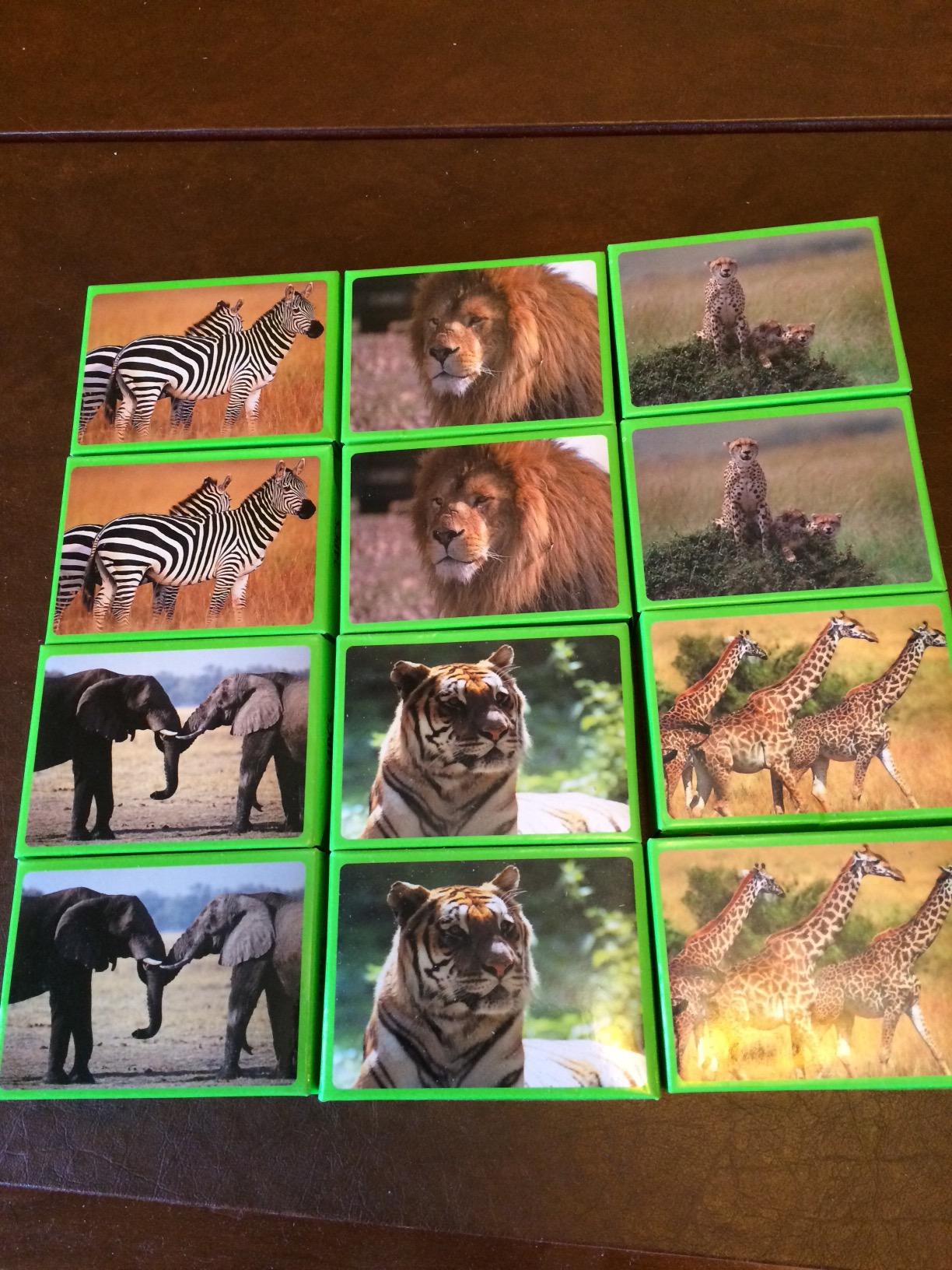 Amazon.com: US Toy Wild Animal Puzzles (pack of 12) : Toys & Games