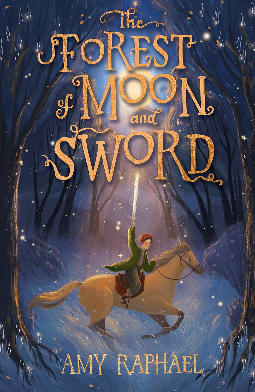 The Forest of Moon and Sword: Raphael, Amy: 9781510108356: Amazon.com ...