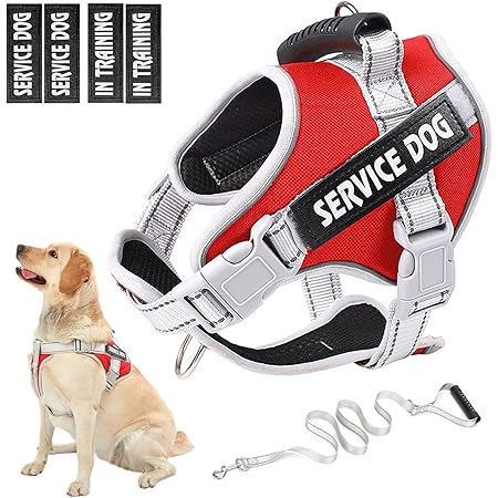 Amazon.com : Albcorp Service Dog Vest Harness - Reflective - Woven ...