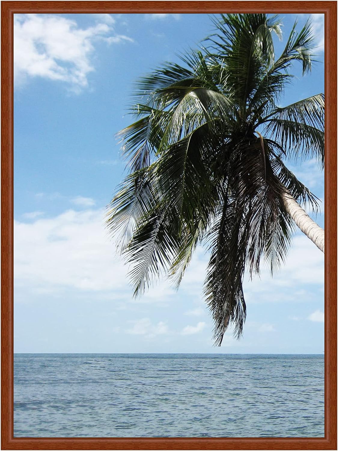 RK Cadres Wall Photo Frame 20x60 cm / 60 x 20 cm (about 8"x24" inch ...