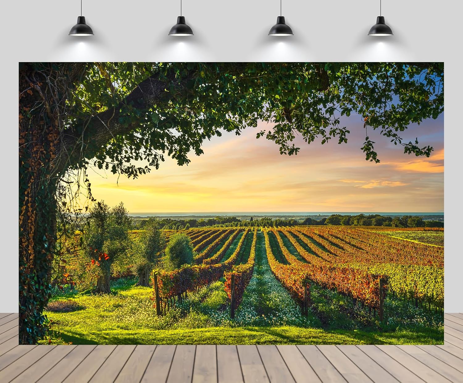 Amazon.com: CHNYWORK 6x4ft Vineyards Backdrop Europe Italy Tuscany ...