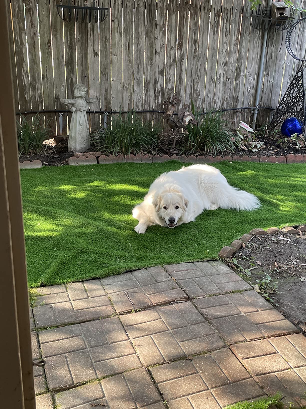 $9/mo - Finance Natural Artificial Grass Turf 4 FT x 6 FT, Heyroll ...