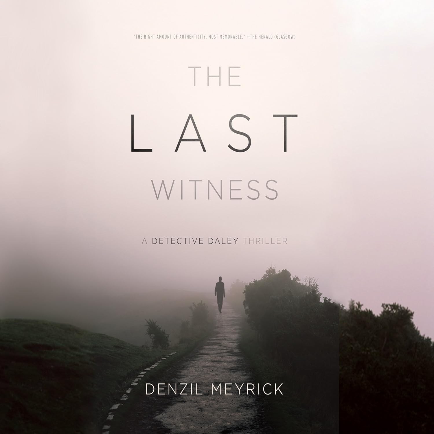 Amazon.com: The Last Witness (Audible Audio Edition): Denzil Meyrick ...