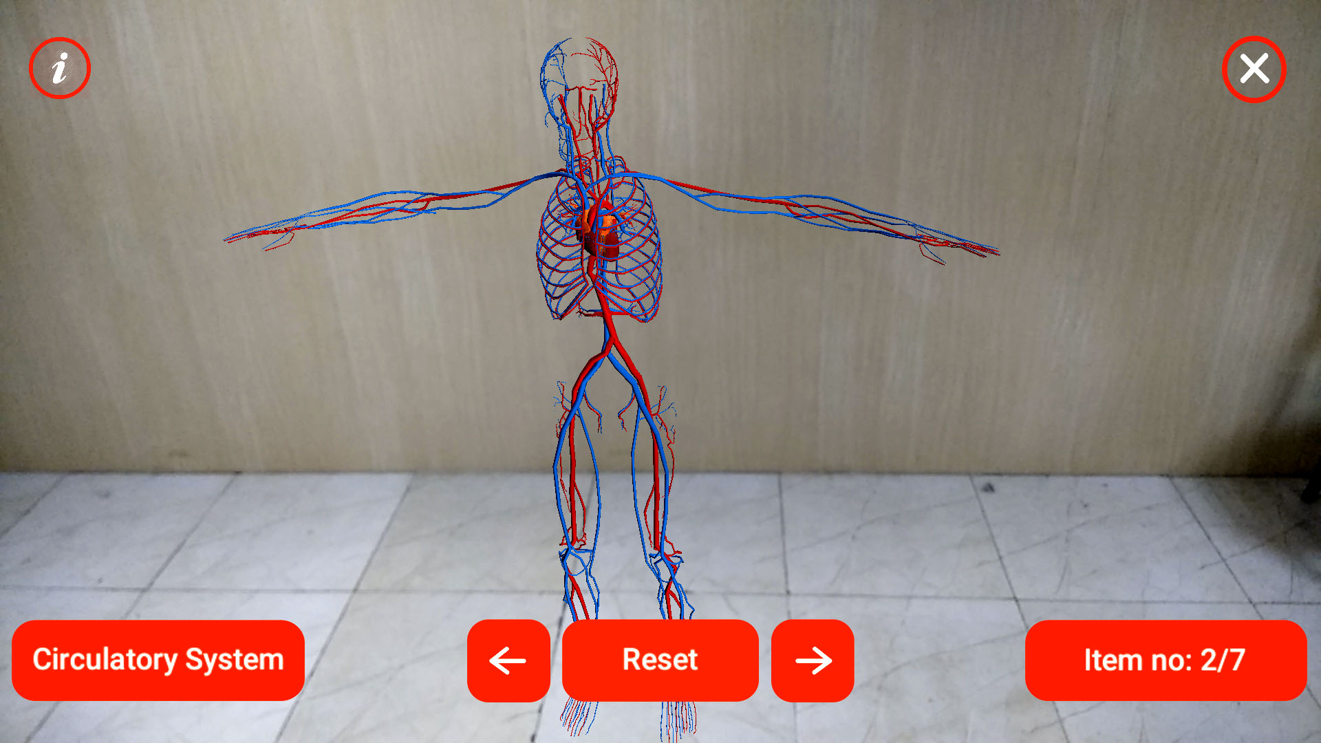 AR Human Organs - App on Amazon Appstore