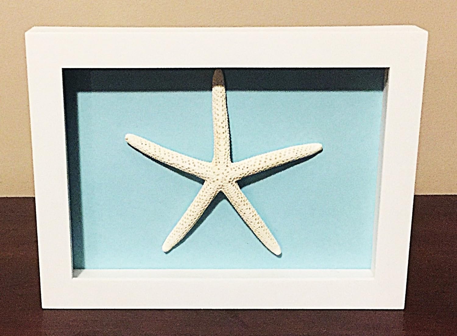Amazon.com - Starfish Shadow Box, Glass Enclosed, Many Background ...
