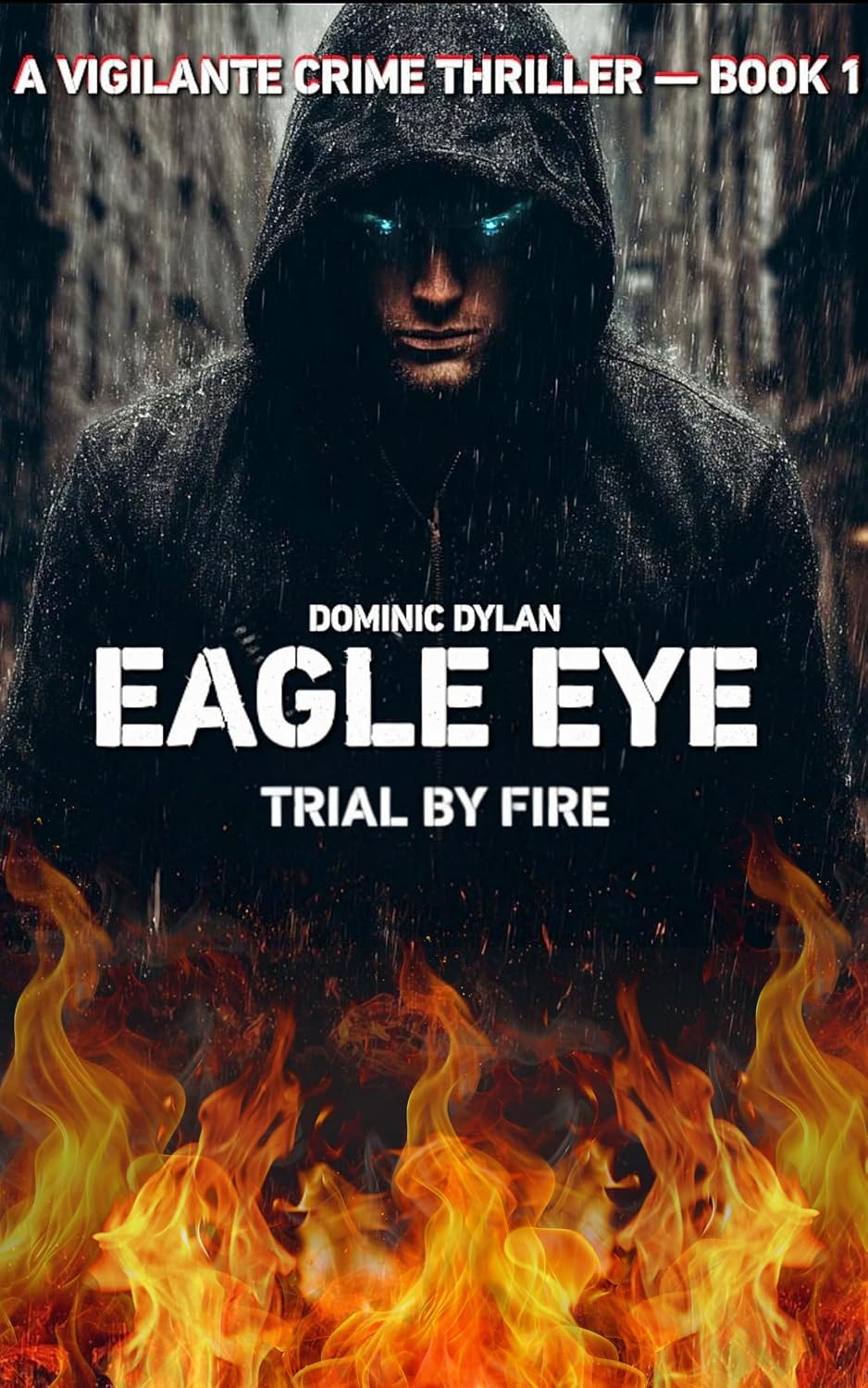 Eagle Eye: Trial By Fire (Volume 1) (Eagle Eye - Trial By Fire ...